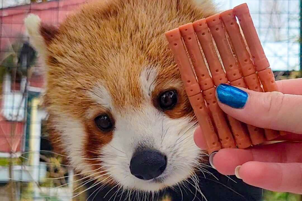 Stimara | Magnetic Fidget Toys for Better Focus & Stress Relief